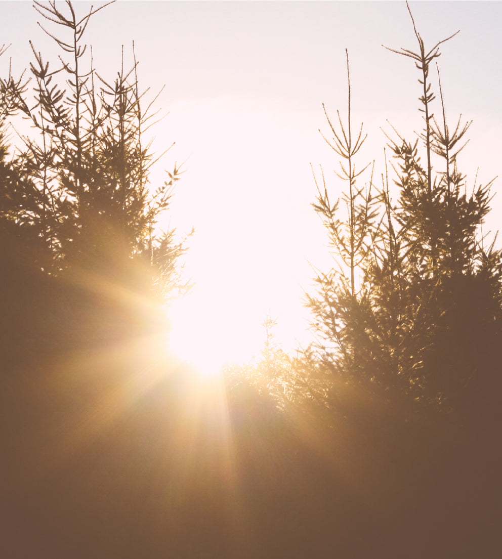 journeywithlight – Youfiel